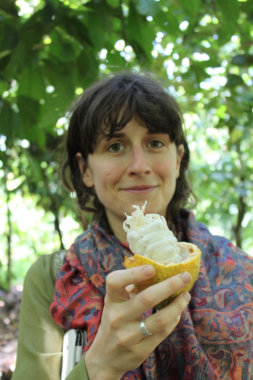 The Journey from Bean to Bar - Exploding Tree | Bean-to-Bar Chocolate ...