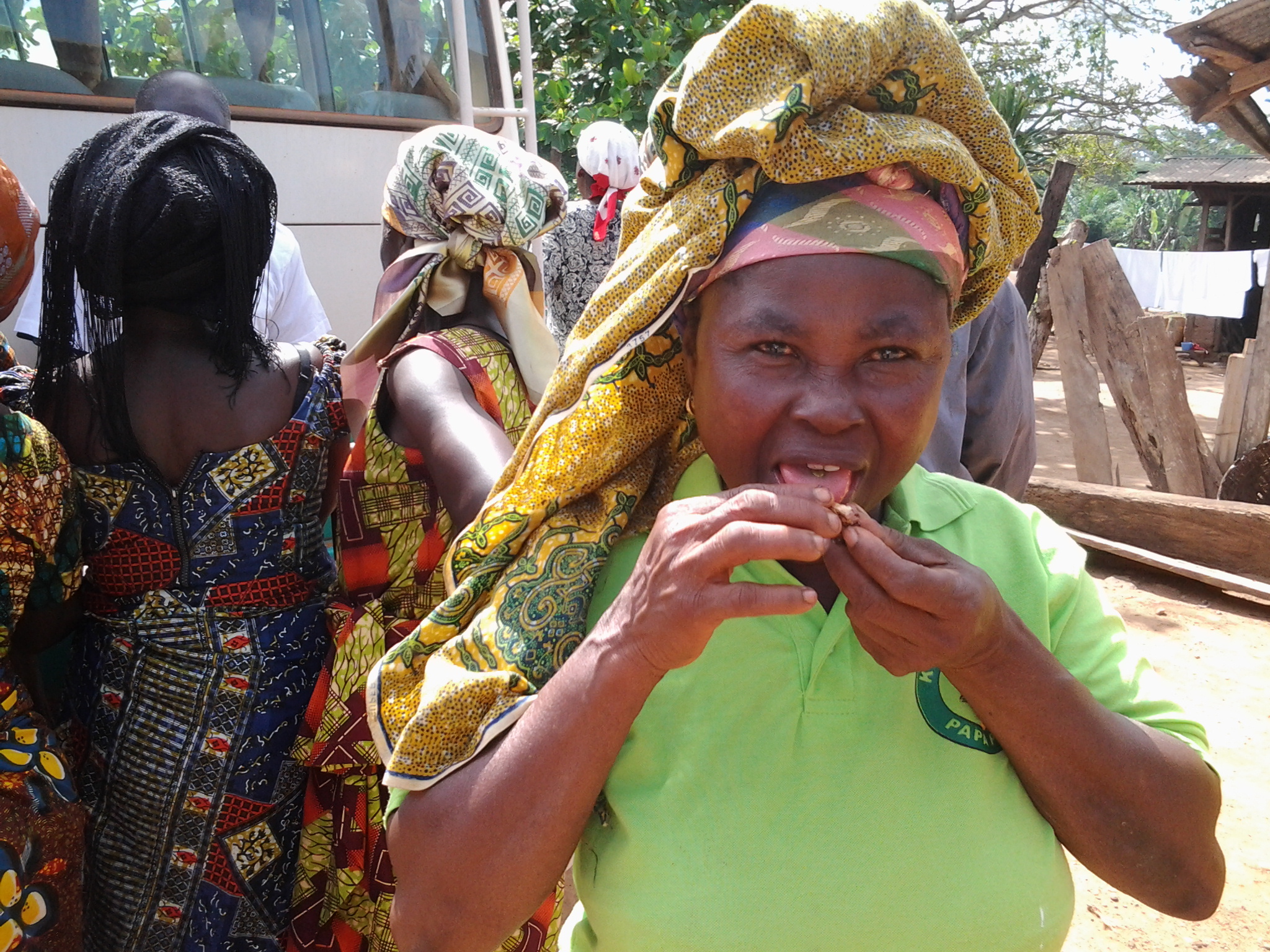 The Journey from Bean to Bar - Exploding Tree | Bean-to-Bar Chocolate ...